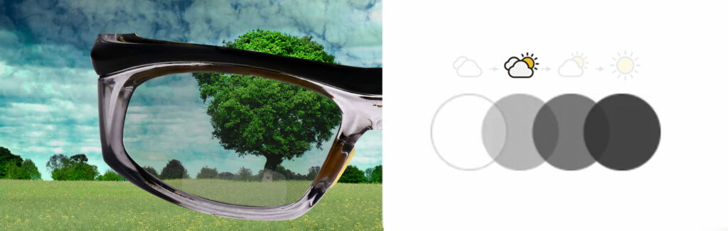 Transition Bifocal Safety Glasses 206 | Phillips Safety